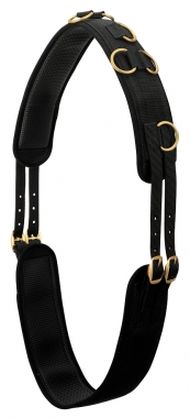 Professional Neoprene Training Surcingle: Chicks Discount Saddlery