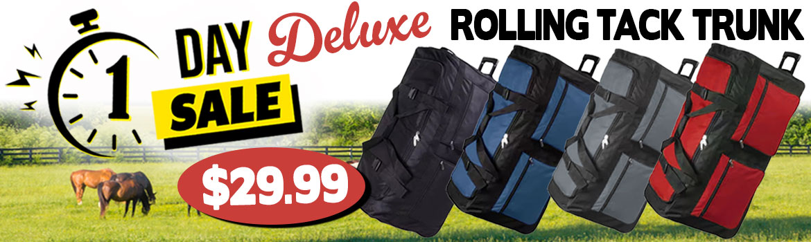 Chicks Discount Saddlery