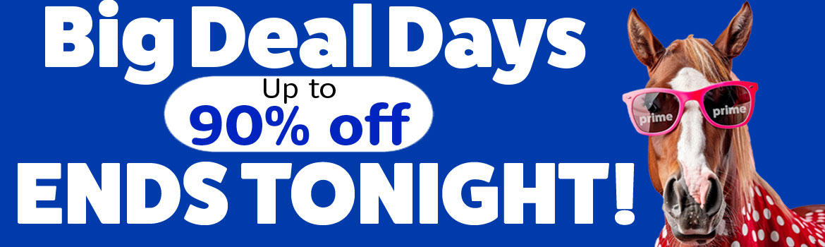 Chicks Discount Saddlery