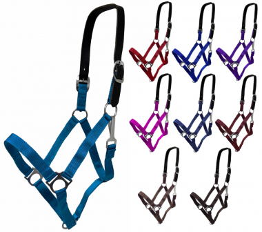 Rugged Ride Breakaway Turnout Halter: Chicks Discount Saddlery