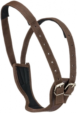 Tough-1 Synthetic Crib Be Gone Comfort Collar: Chicks Discount Saddlery