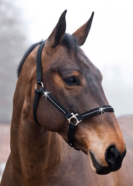 Horze Diamond Sparkle Halter: Chicks Discount Saddlery