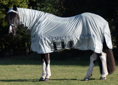 Derby House Pro Combo Neck Fly Sheet With Belly Wrap - Silver: Chicks ...