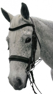 Exselle Elite Rolled Padded Dressage Double Bridle With Extra Bling ...