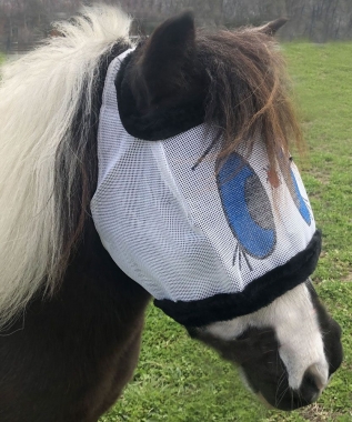 Tough-1 Miniature Horse Lady Bug Fly Mask: Chicks Discount Saddlery
