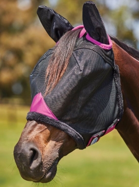 Weatherbeeta Comfitec Deluxe Durable Mesh Fly Mask - With Ears: Chicks ...