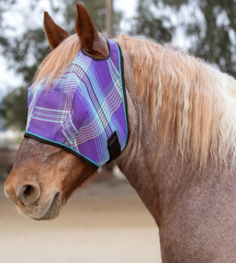 Kensington Fly Mask with Fleece Trim Dual Ear Opening - Draft: Chicks ...