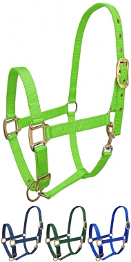 Cob - Yearling Guardian Premium Nylon Halter: Chicks Discount Saddlery