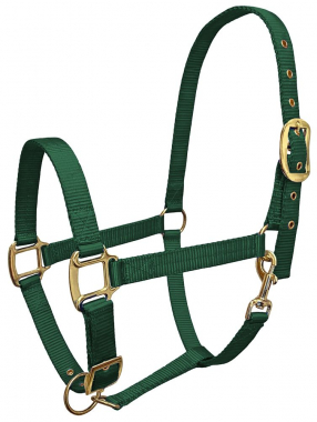 Cob - Yearling Guardian Premium Nylon Halter: Chicks Discount Saddlery