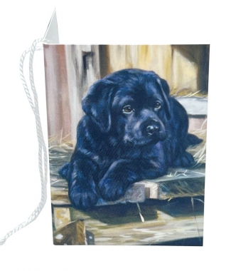 Black Lab Puppy Gift Tag - 5 Pack: Chicks Discount Saddlery