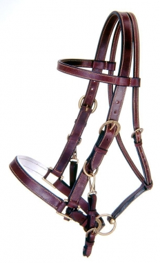 Aussie Leather Halter/Bridle Combo: Chicks Discount Saddlery