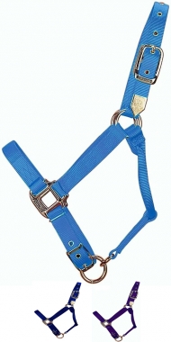 Hamilton Deluxe 1 Inch Adjustable Nylon Halter - Yearling/Cob: Chicks ...