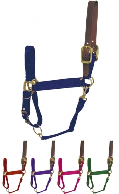 Hamilton Deluxe 1 Inch Adjustable Nylon Halter With Breakaway Crown ...