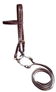 Showman Premium Nylon Cheetah Print Complete Headstall Set: Chicks ...