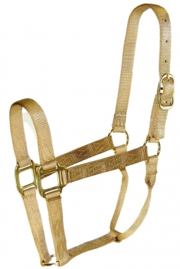 Hamilton Quality 1 Inch Nylon Halter -Yearling/Cob: Chicks Discount ...