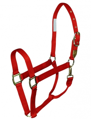 Hamilton Deluxe 1 Inch Adjustable Nylon Halter With Snap - Yearling/Cob ...