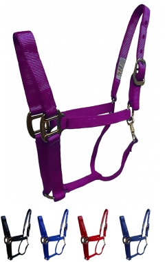 Hamilton Deluxe Eclipse 1 Inch Halter With Panic Snap: Chicks Discount ...