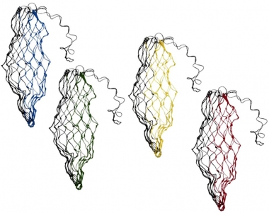 Showman XL Two-Tone Nylon Easy Fill Hay Net: Chicks Discount Saddlery