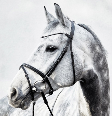 Horze Lucile Black Leather Bridle: Chicks Discount Saddlery