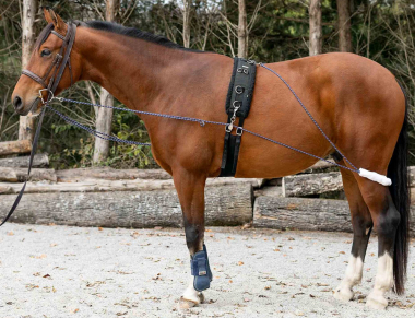 Horze Lunging Aid: Chicks Discount Saddlery