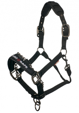 LeMieux ProSafe Halter: Chicks Discount Saddlery