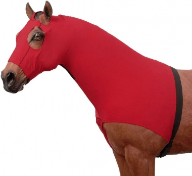 Rugged Ride Fitted Lycra Mane Tamer With Zipper Closure: Chicks ...