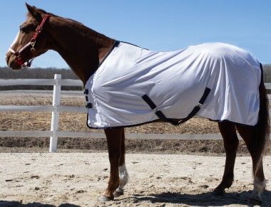 Rugged Ride Soft Mesh Standard Neck Fly Sheet with Leg Straps: Chicks ...