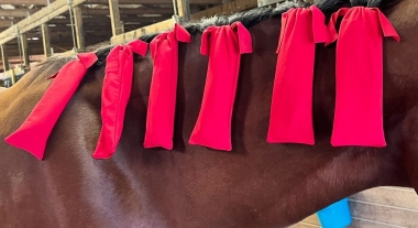 Rugged Ride Mane Bags - 6 Pack: Chicks Discount Saddlery