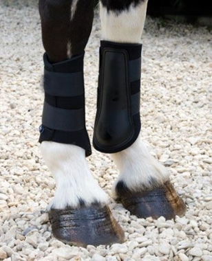 Shires Neoprene Splint Boots xx: Chicks Discount Saddlery