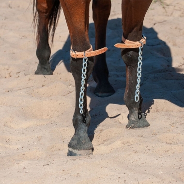 Martin Saddlery Pawing Chains: Chicks Discount Saddlery