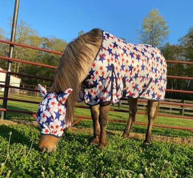 Rugged Ride Patriotic Soft Mesh Fly Sheet with Leg Straps: Chicks ...