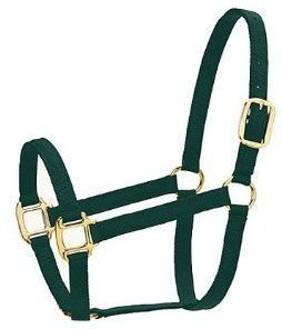 BMB Classic Nylon Halter With Heavy Duty Brass Plated Hardware: Chicks ...