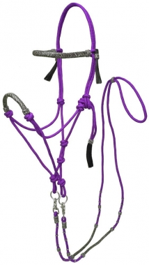 Rugged Ride Rawhide Braided Rope Halter/Bridle with Matching Reins ...