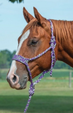 Weaver Braided Mule Tape Halter With 6' Lead: Chicks Discount Saddlery
