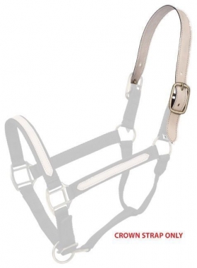 Tough-1 Single Ply Leather Replacement Breakaway Halter Crown Strap ...