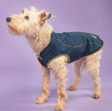 Digby & Fox Softshell Dog Coat: Chicks Discount Saddlery