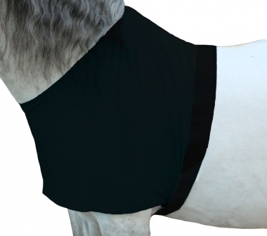 Resistance Lycra Shoulder Guard with Built in Surcingle: Chicks ...