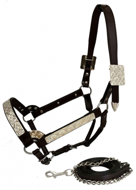 Showman Silver Show Halter And Lead With Floral Engraved Silver Plates ...