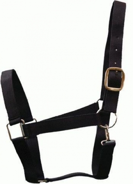 Nylon Draft Horse Halter: Chicks Discount Saddlery