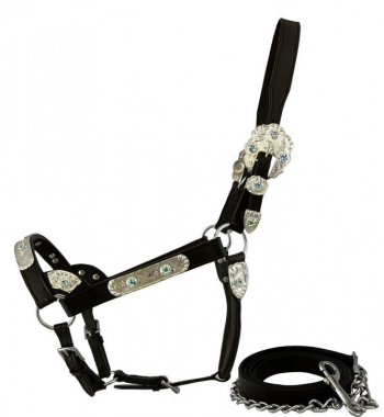 Showman Silver Show Halter And Lead Set With Silver Bars And Crystal ...
