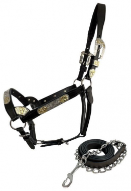 Showman Silver Show Halter With Lead And Silver/Gold Bar Accents ...