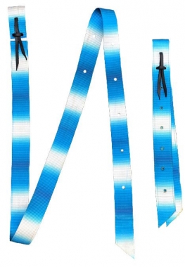 Showman Premium Nylon Ombre Print Tie Strap And Off Billet Set: Chicks ...