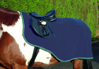 Shires Tempest Fleece Exercise Sheet - Ink, White And Green: Chicks ...