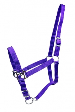Rugged Ride Adjustable Nylon Utility Halter without Throat snap: Chicks ...