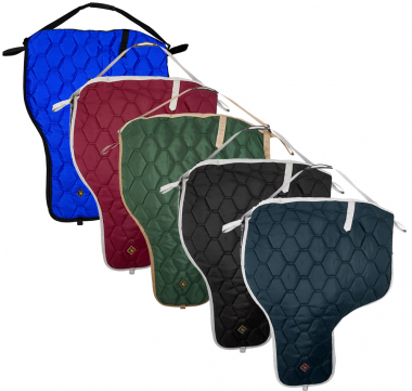 Big D Western Saddle Case: Chicks Discount Saddlery
