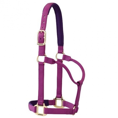 Weaver Original Padded Non-Adjustable Halter: Chicks Discount Saddlery