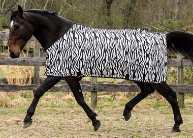 Rugged Ride Soft Mesh Fly Sheet with Leg Straps - Zebra: Chicks ...